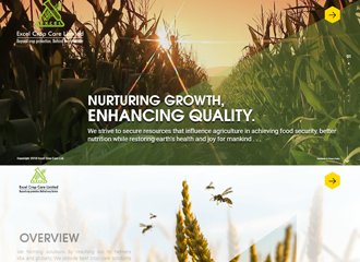 Web Design Agency | Web Designing Services in India - D'Design Studio
